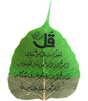 Khat | The Daily Omnivore