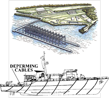 Deperming | The Daily Omnivore