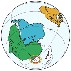 August | 2010 | The Daily Omnivore
