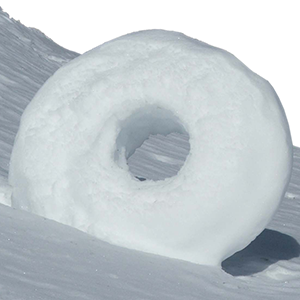 Snow Roller | The Daily Omnivore
