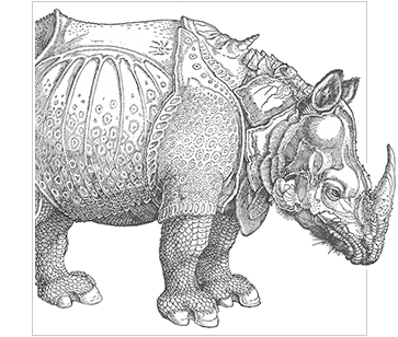 Dürer’s Rhinoceros | The Daily Omnivore