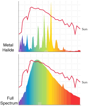 Full-Spectrum Light | The Daily Omnivore
