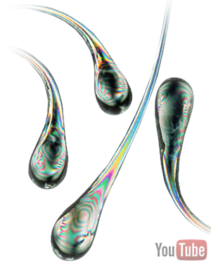 Prince Rupert’s Drop | The Daily Omnivore