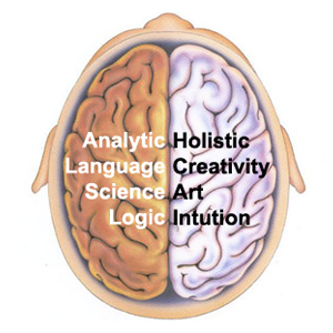 Lateralization | The Daily Omnivore