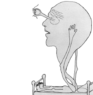 Alice in Wonderland Syndrome | The Daily Omnivore