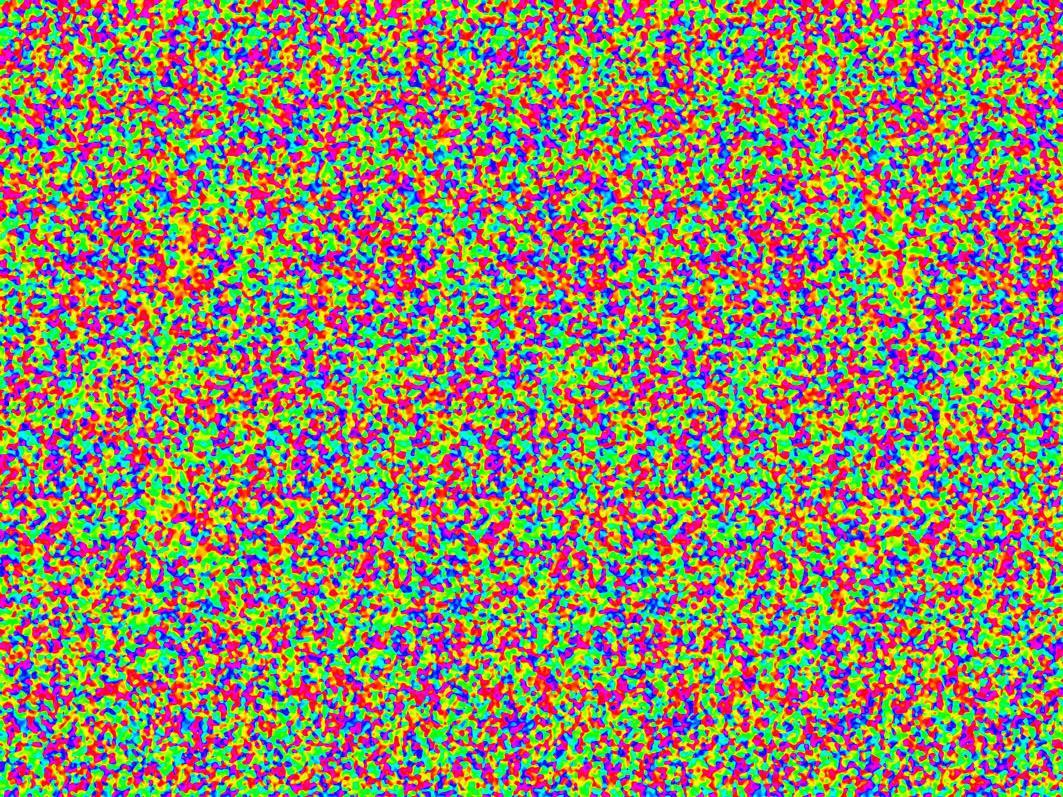 07 | April | 2011 | The Daily Omnivore