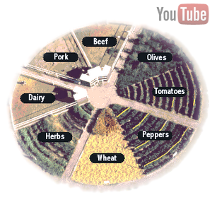 Pizza Farm | The Daily Omnivore