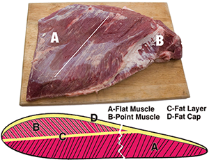 Brisket | The Daily Omnivore