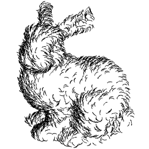 Stanford Bunny | The Daily Omnivore
