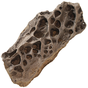 Tafoni | The Daily Omnivore