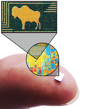 Chip Graffiti | The Daily Omnivore