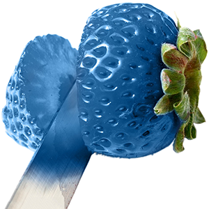 Inverted Spectrum | The Daily Omnivore