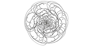 13 | July | 2011 | The Daily Omnivore