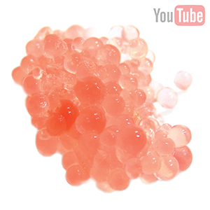 Spherification | The Daily Omnivore