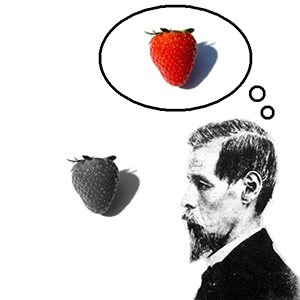 Qualia | The Daily Omnivore