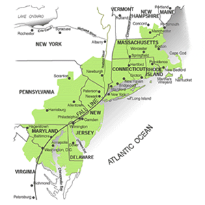 BosWash | The Daily Omnivore