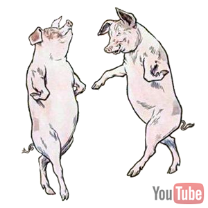 Dancing Pigs | The Daily Omnivore