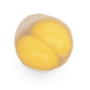 Double-yolk | The Daily Omnivore