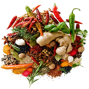 Spice | The Daily Omnivore