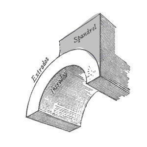Spandrel | The Daily Omnivore