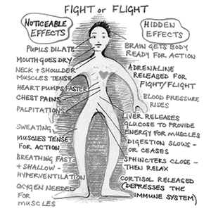 Tachypsychia | The Daily Omnivore