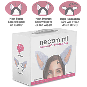 Neurowear | The Daily Omnivore