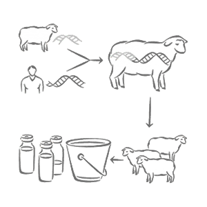 Pharming | The Daily Omnivore