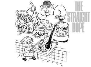 Ketchup as a Vegetable | The Daily Omnivore