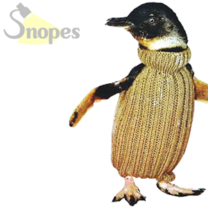 Penguin Sweater | The Daily Omnivore