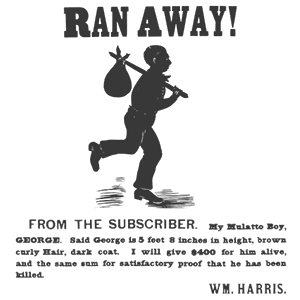 Drapetomania | The Daily Omnivore