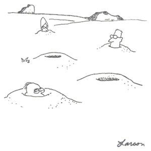 The Far Side | The Daily Omnivore